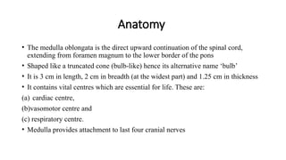 Medulla oblongata made easier than ever... | PPTX