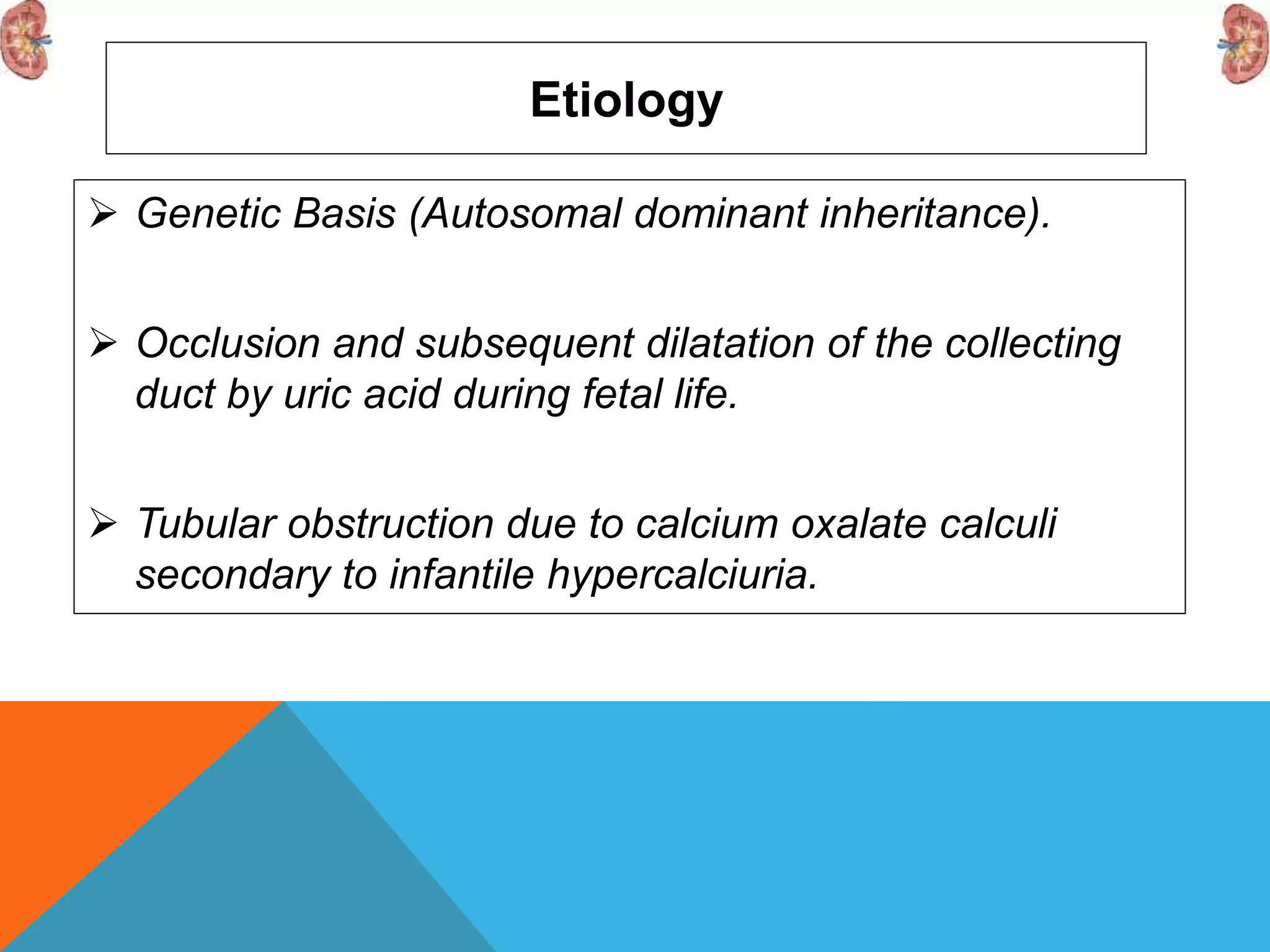Medullary sponge kidney (msk) | PPTX