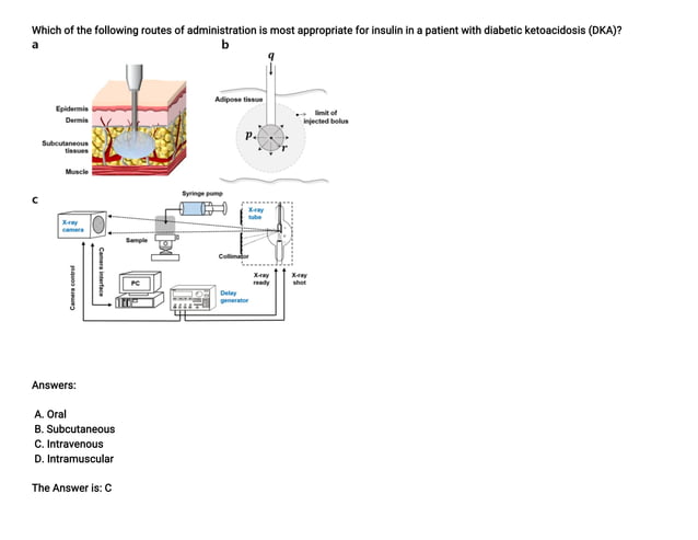MEDUSA Gunners Pharmacology lab3.pdf | Pharmaceutical Drugs | Medical Health
