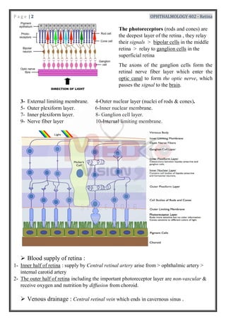 Medvision (Retina-Orbit-Squint)papet .pdf