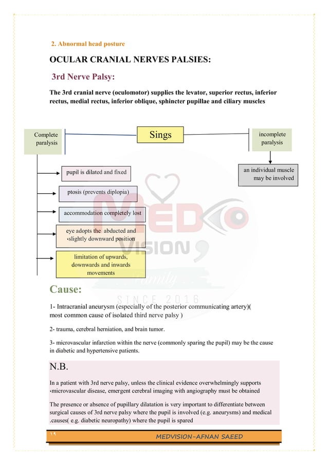 Medvision (Retina-Orbit-Squint)papet .pdf