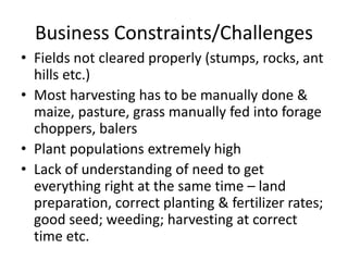 Med w eng sol -private sector experience- engsol | PDF