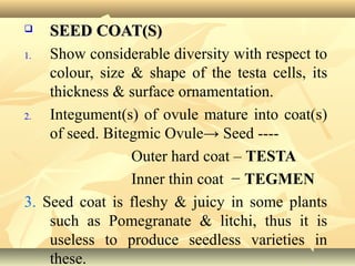 angiosperms | PPT