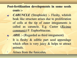 angiosperms | PPT