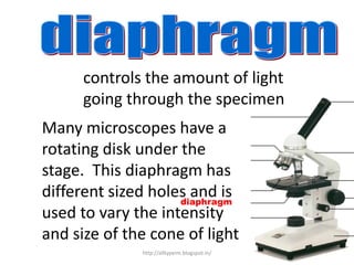 MEE1005 Metallurgical Microscope | PPT