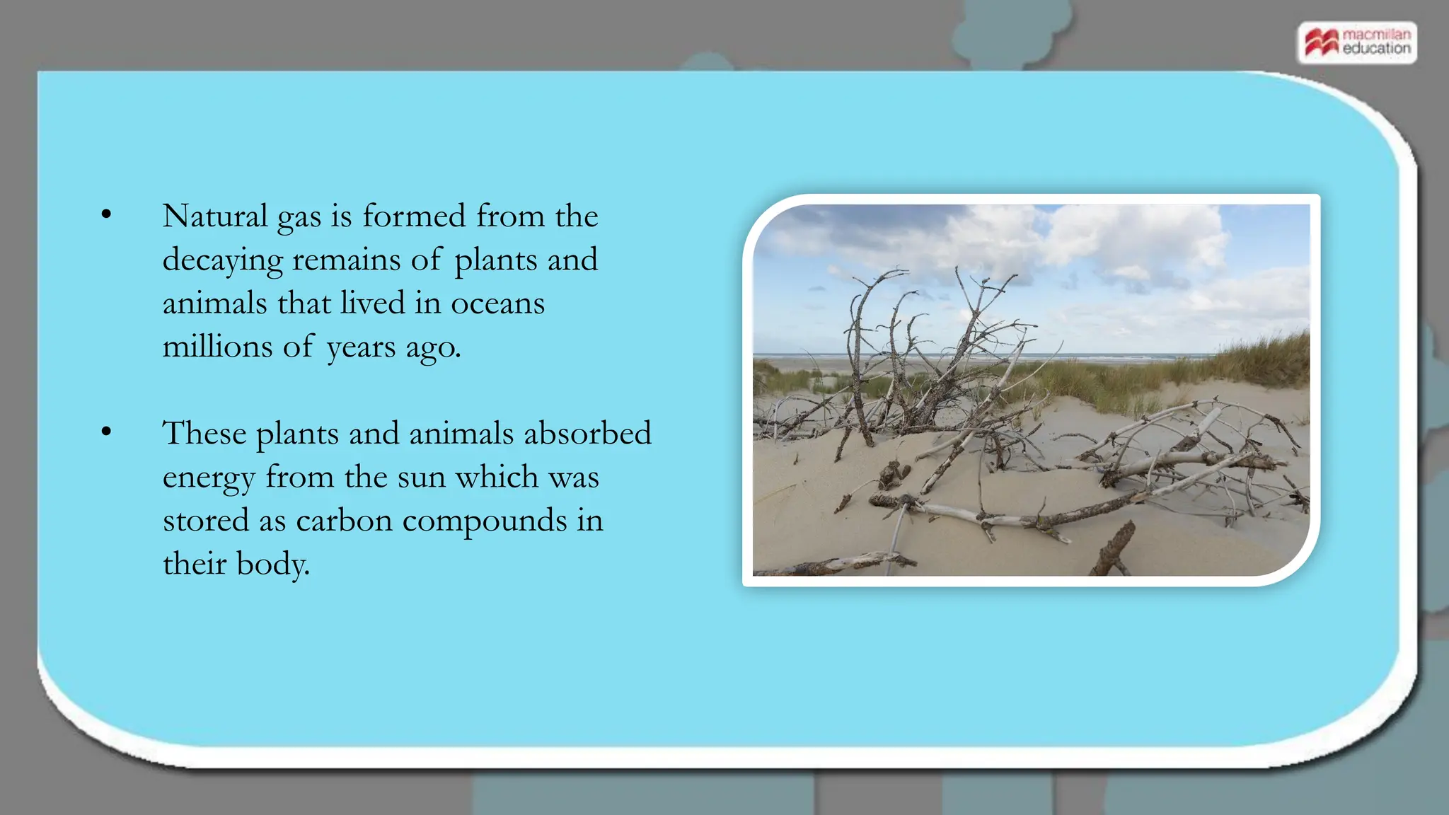 Formation of coal, petroleum and natural gas | PDF