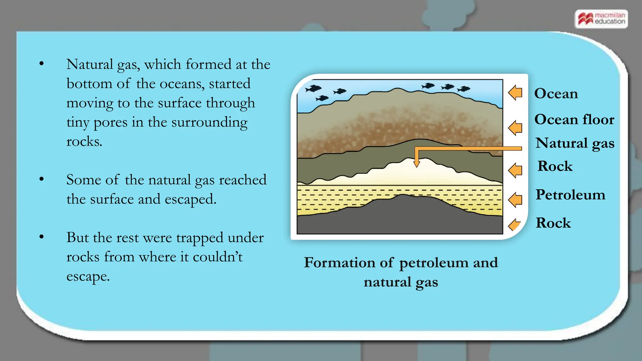 Formation of coal, petroleum and natural gas | PDF
