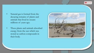 Formation of coal, petroleum and natural gas | PDF