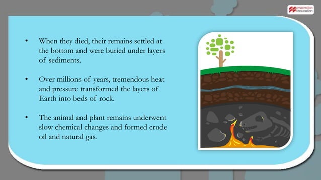 Formation of coal, petroleum and natural gas | PDF | Chemistry | Science