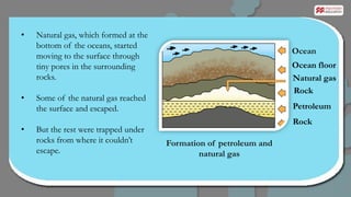 Formation of coal, petroleum and natural gas | PDF