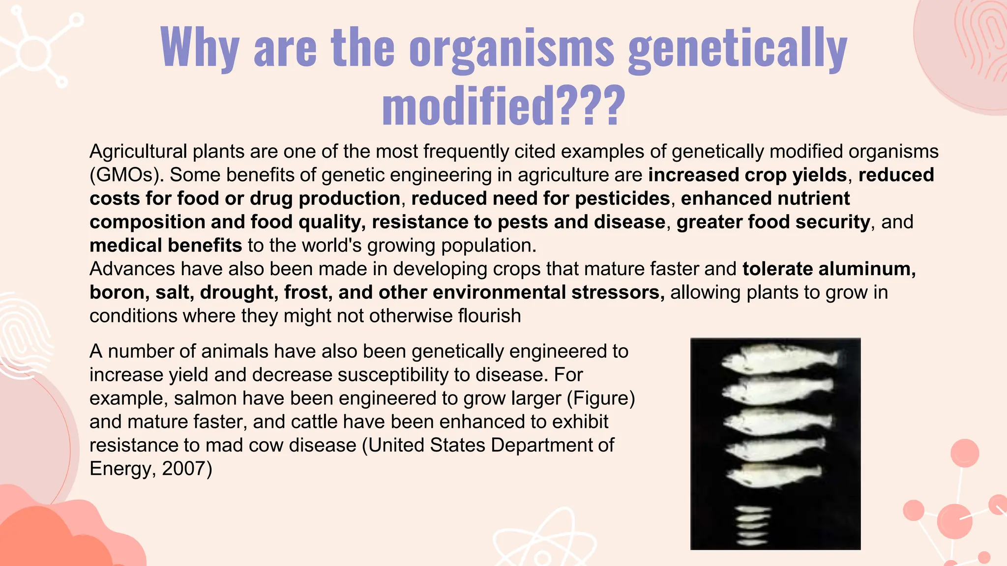 Genetic Modified Organism Regulation in India | PPTX