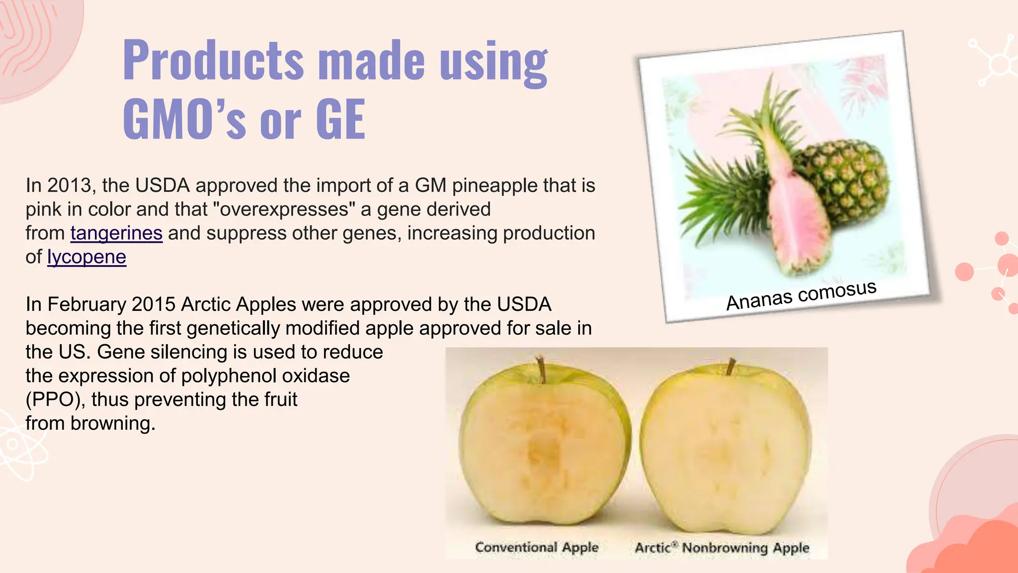 Genetic Modified Organism Regulation in India | PPTX