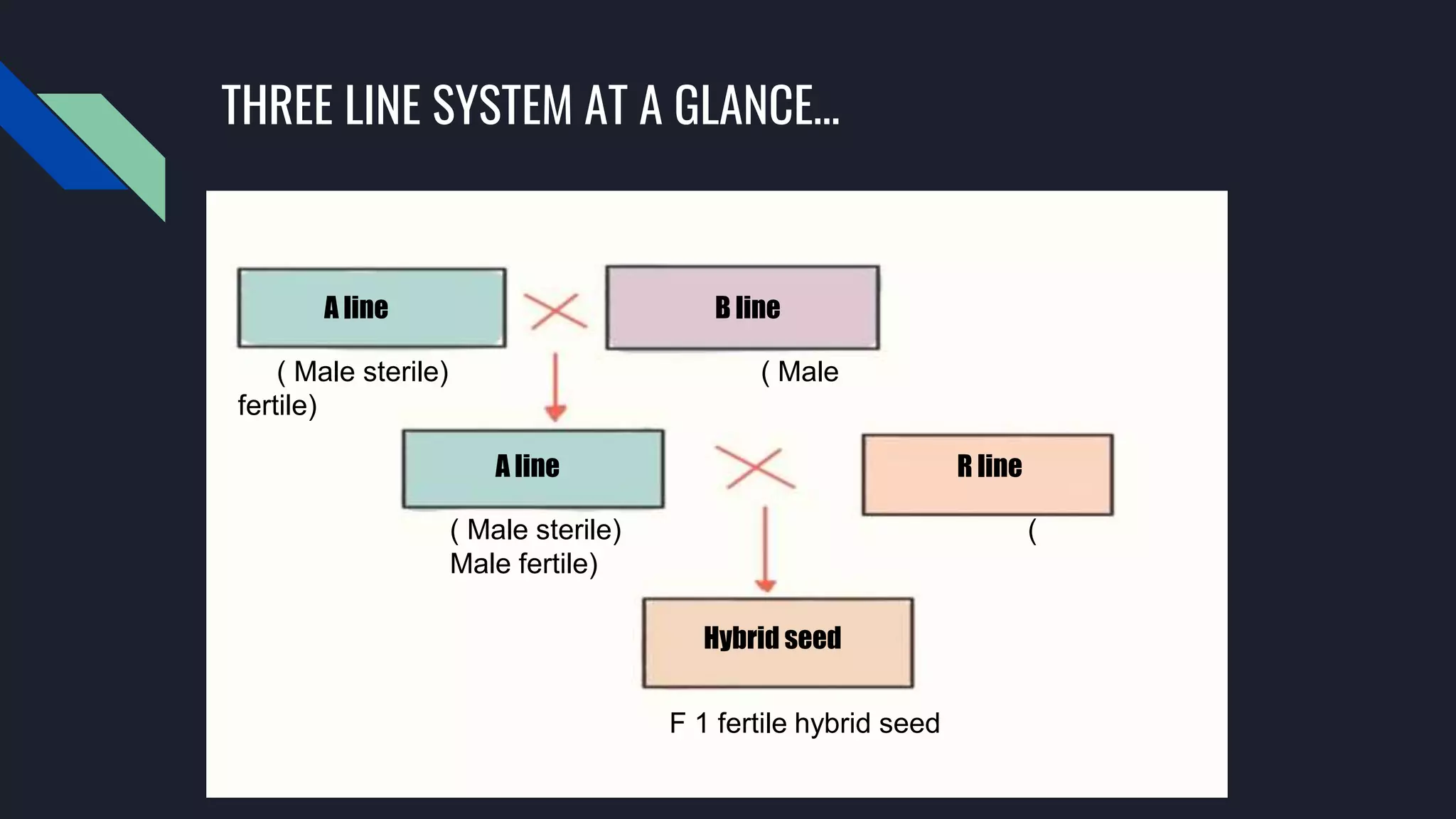 A,B& R LINE DEVELOPMENT IN HYBRID SEED PRODUCTION | PPTX