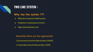A,B& R LINE DEVELOPMENT IN HYBRID SEED PRODUCTION | PPTX