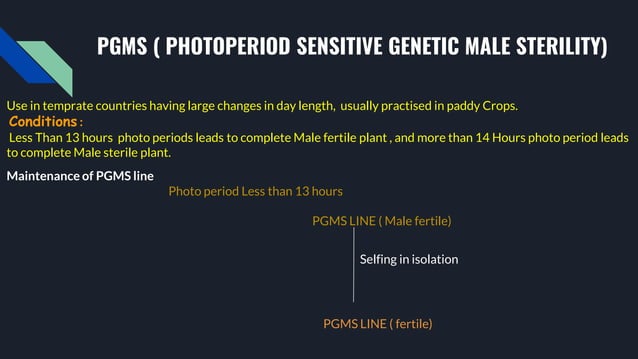 A,B& R LINE DEVELOPMENT IN HYBRID SEED PRODUCTION | PPTX
