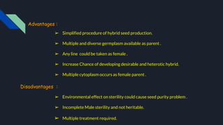 A,B& R LINE DEVELOPMENT IN HYBRID SEED PRODUCTION | PPTX