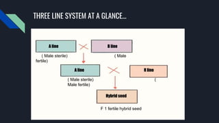 A,B& R LINE DEVELOPMENT IN HYBRID SEED PRODUCTION | PPTX