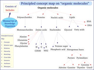 Knowledge Organizers of Cell Biology | PDF