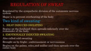 sweat formtion in human body and different types of sweat glands and ...
