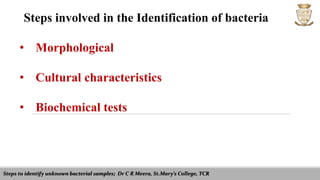 Identification of unknown bacterial samples | PPTX | Chemistry | Science