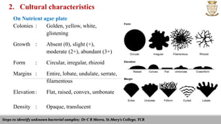 Identification of unknown bacterial samples | PPTX | Chemistry | Science