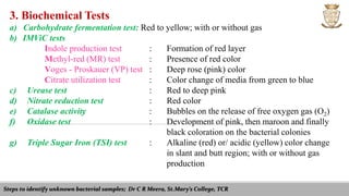 Identification of unknown bacterial samples | PPTX | Chemistry | Science