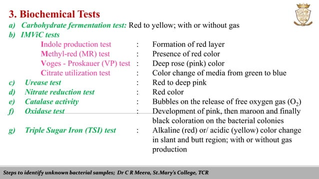 Identification of unknown bacterial samples | PPT