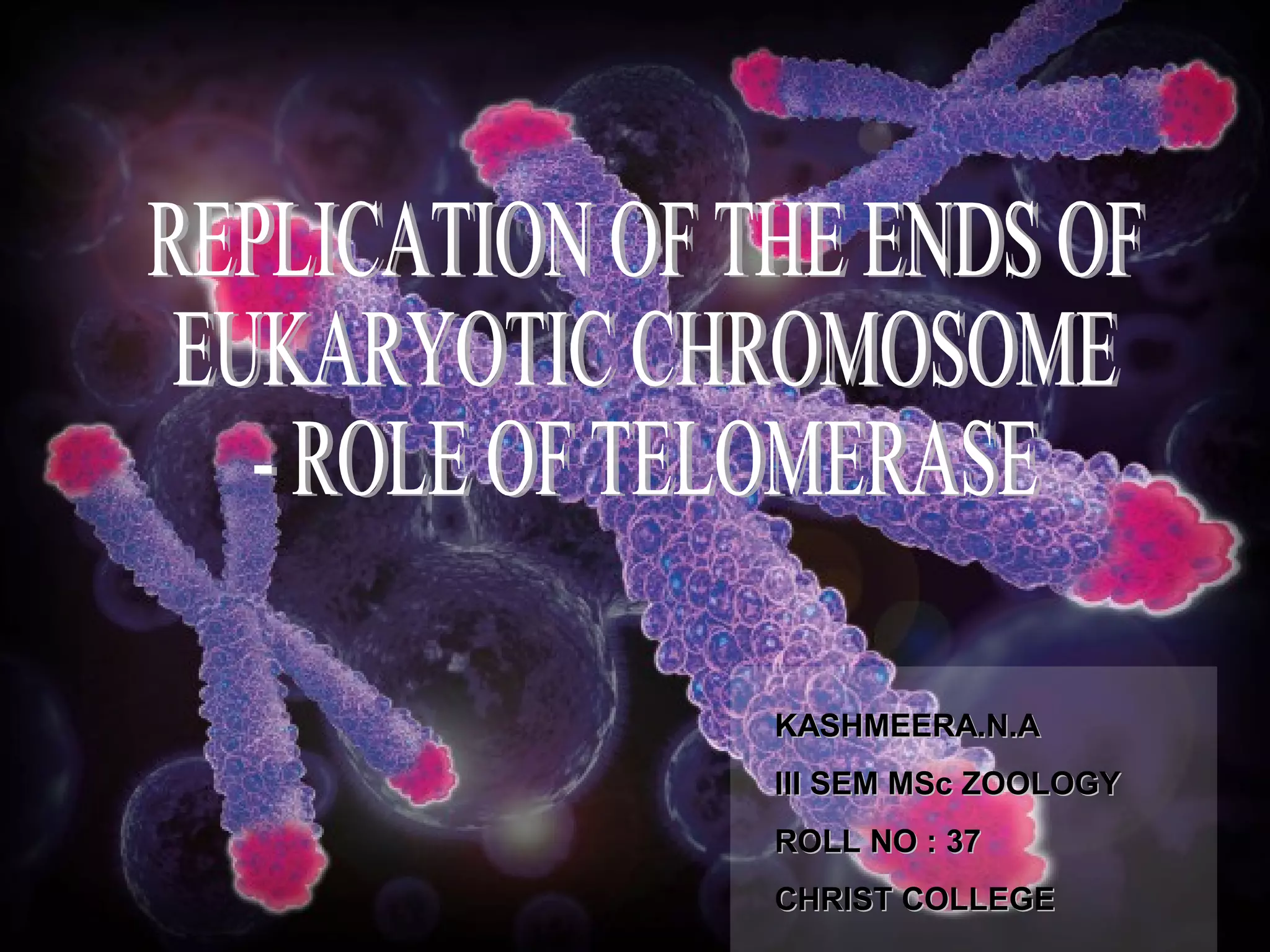 Replication of the Ends of Eukaryotic Chromosome - Role of Telomerase ...