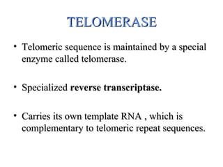 Telomerase | PPT