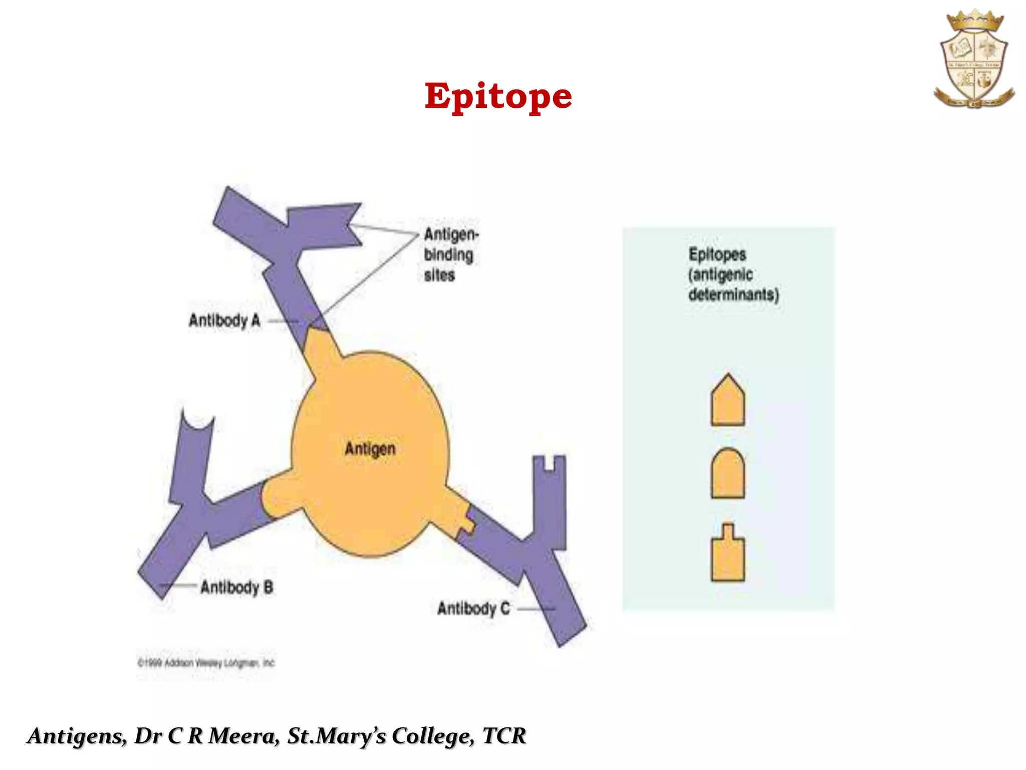 Microbiology:Antigens | PPTX