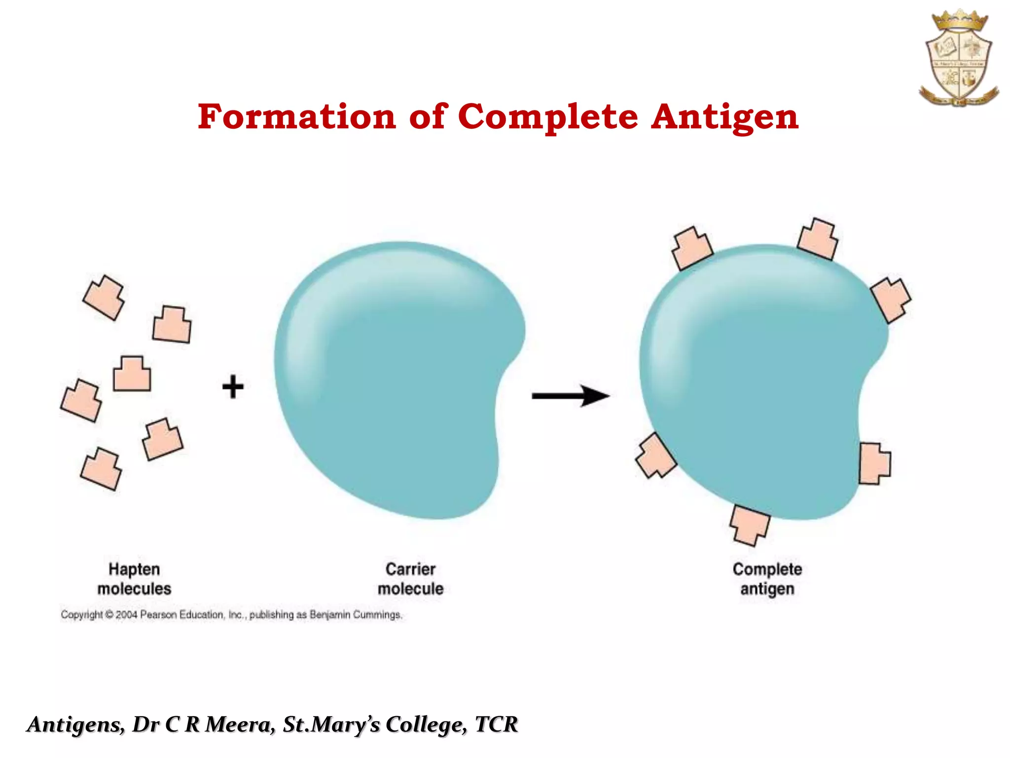 Microbiology:Antigens | PPTX