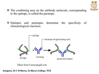 Microbiology:Antigens | PPTX