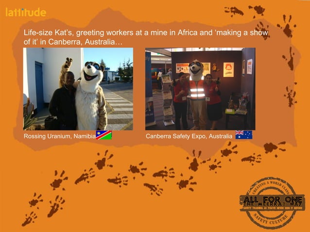 Meerkat Safety Presentation | PPT