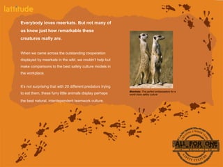 Meerkat Safety Presentation | PPT