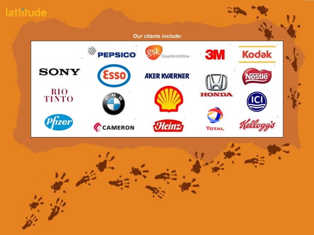 Meerkat Safety Presentation | PPT