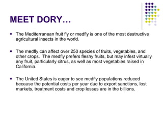 Meet dory slide show | PPT