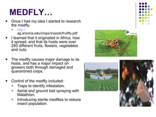 Meet dory slide show | PPT