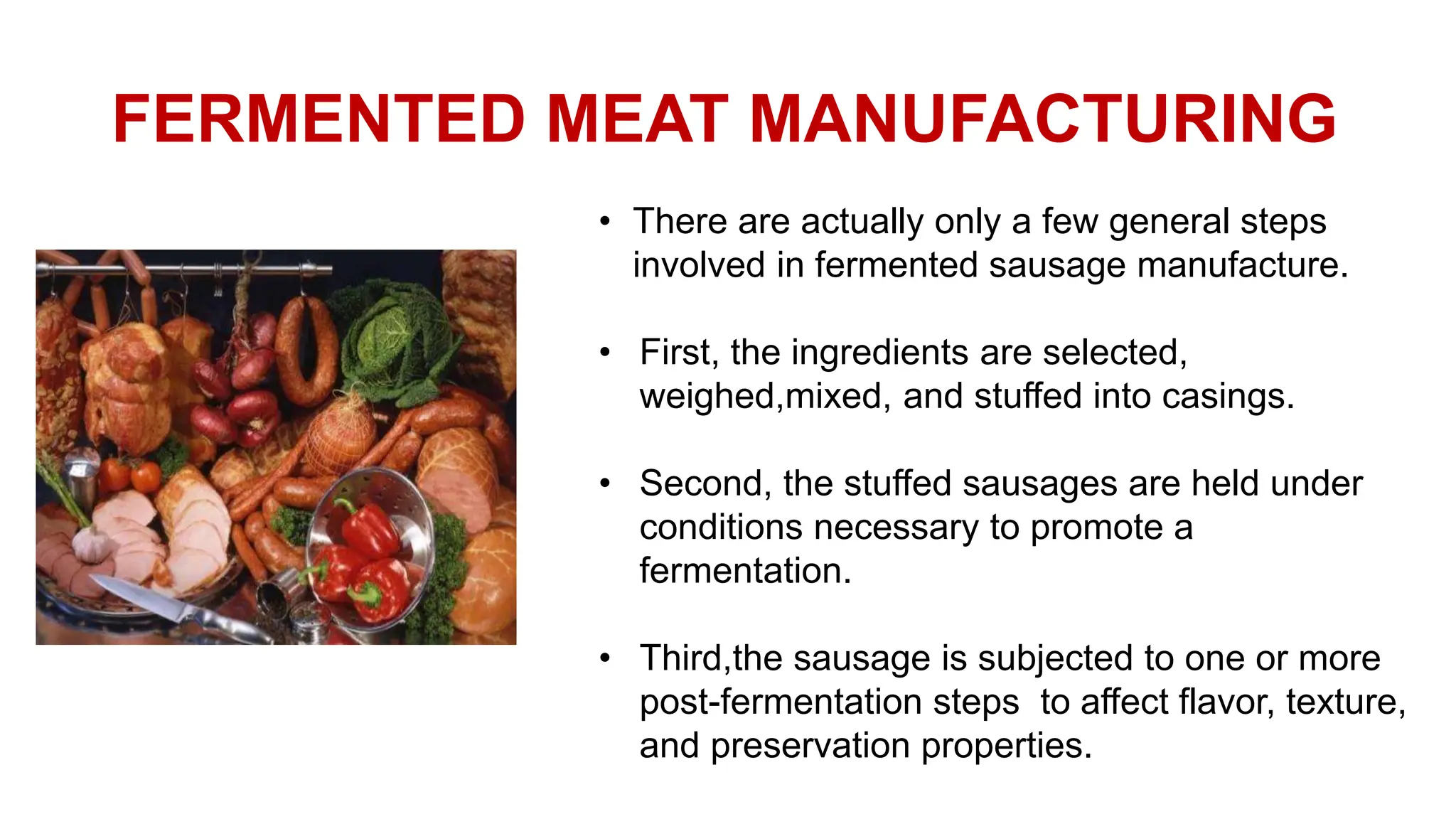 meet fermentation. Power point presentation | PPTX