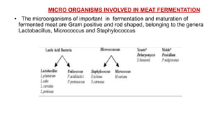 meet fermentation. Power point presentation | PPTX