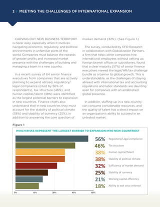 Meeting the challenges of international expansion | PDF