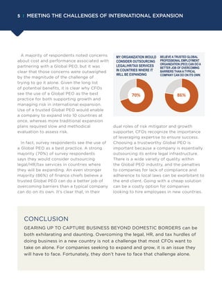 Meeting the challenges of international expansion | PDF