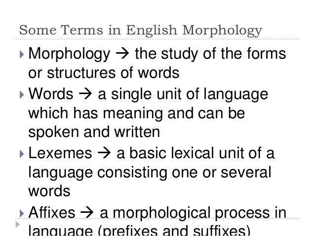 Morphology Synonym