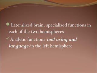 The origin of language | PPT