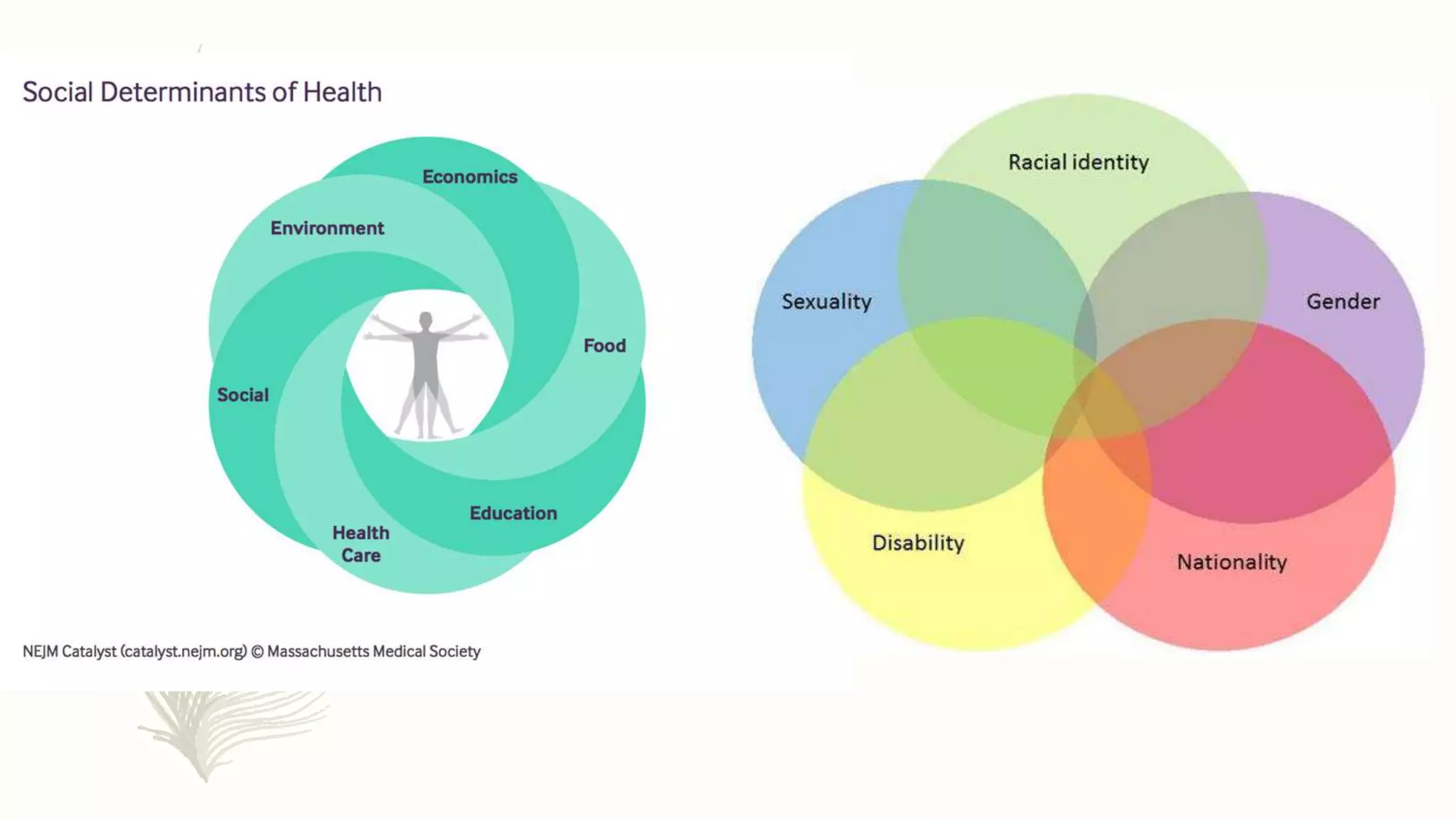 Social Epidemiology: Social determinants of health | PPTX