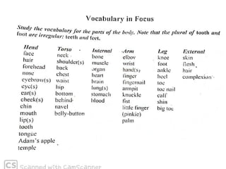 MEETING 5 - LESSON 11 - Unit 1BAsic ENglish.pptx
