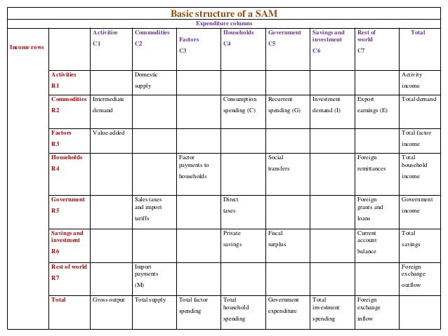 Social Accounting Matrix for a village