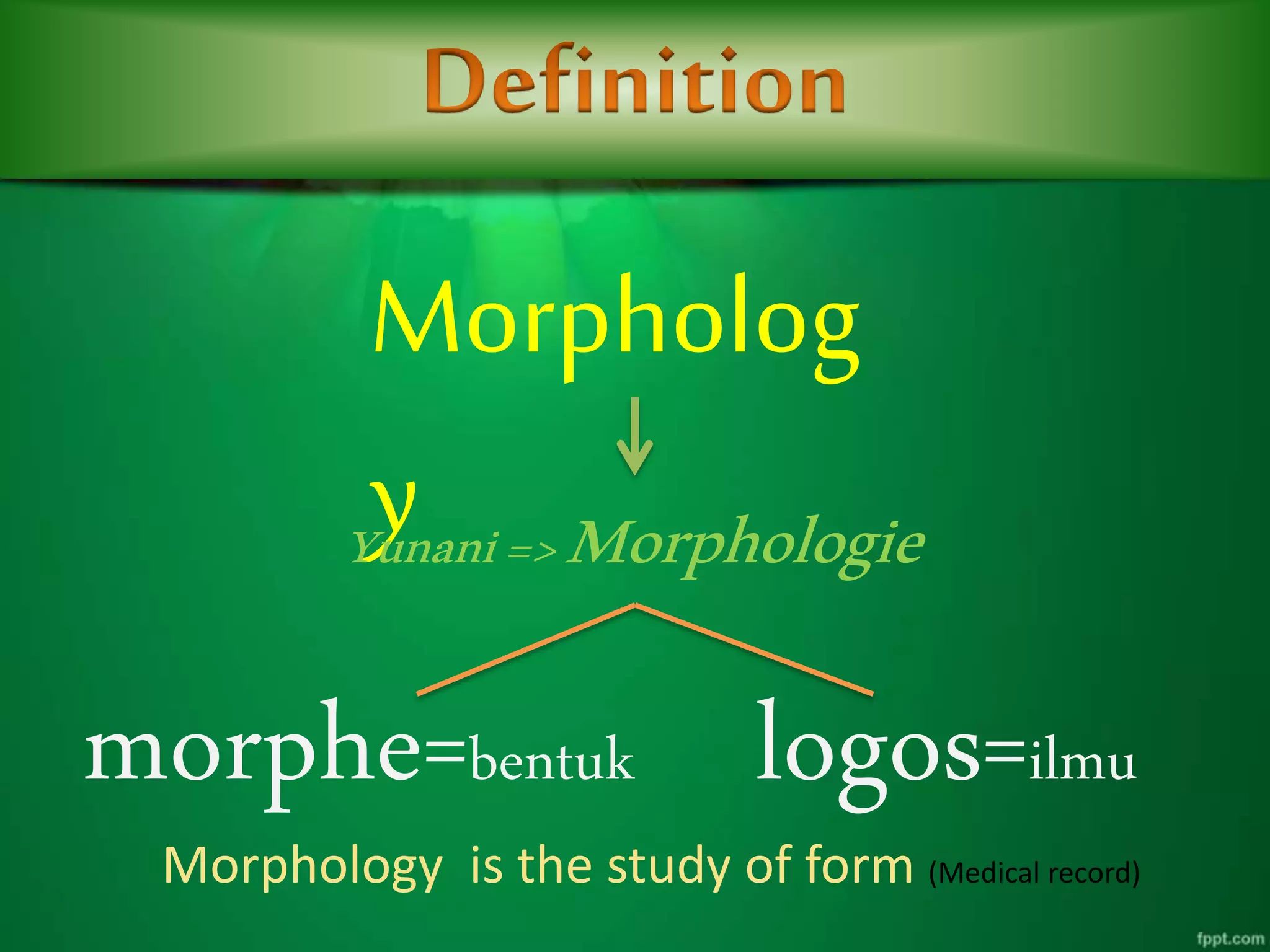 definition of morphology and word | PPTX