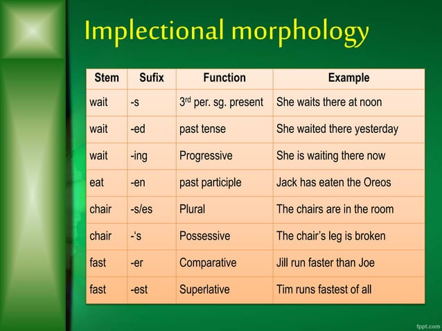 definition of morphology and word | PPTX