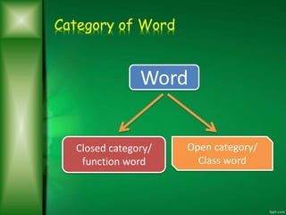 definition of morphology and word | PPTX | Geology | Science