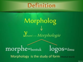 definition of morphology and word | PPTX | Geology | Science